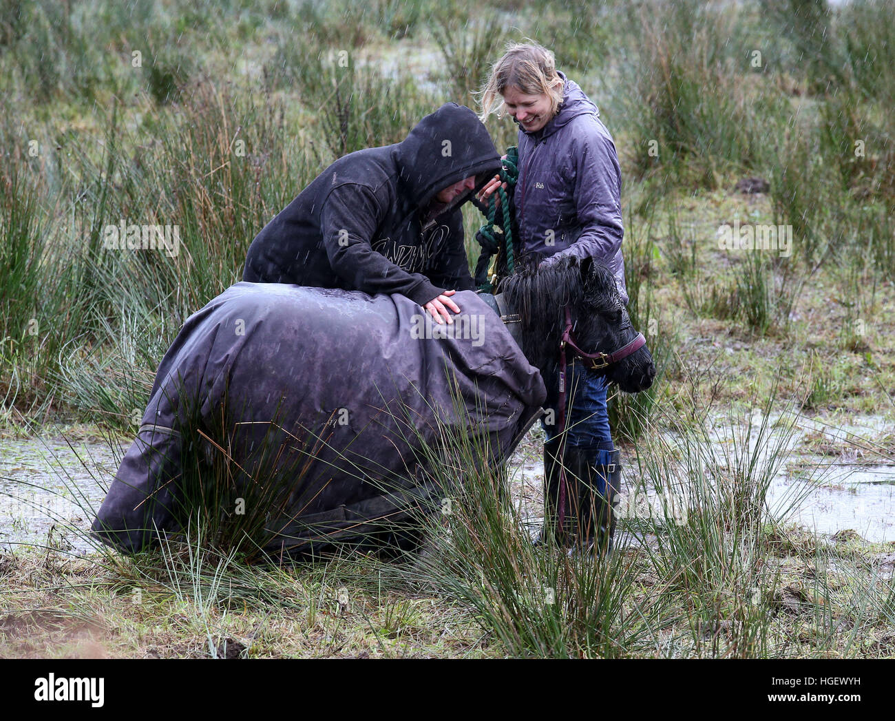 Nemo, a Shetland pony, is rescued by the Scottish Fire and Rescue ...