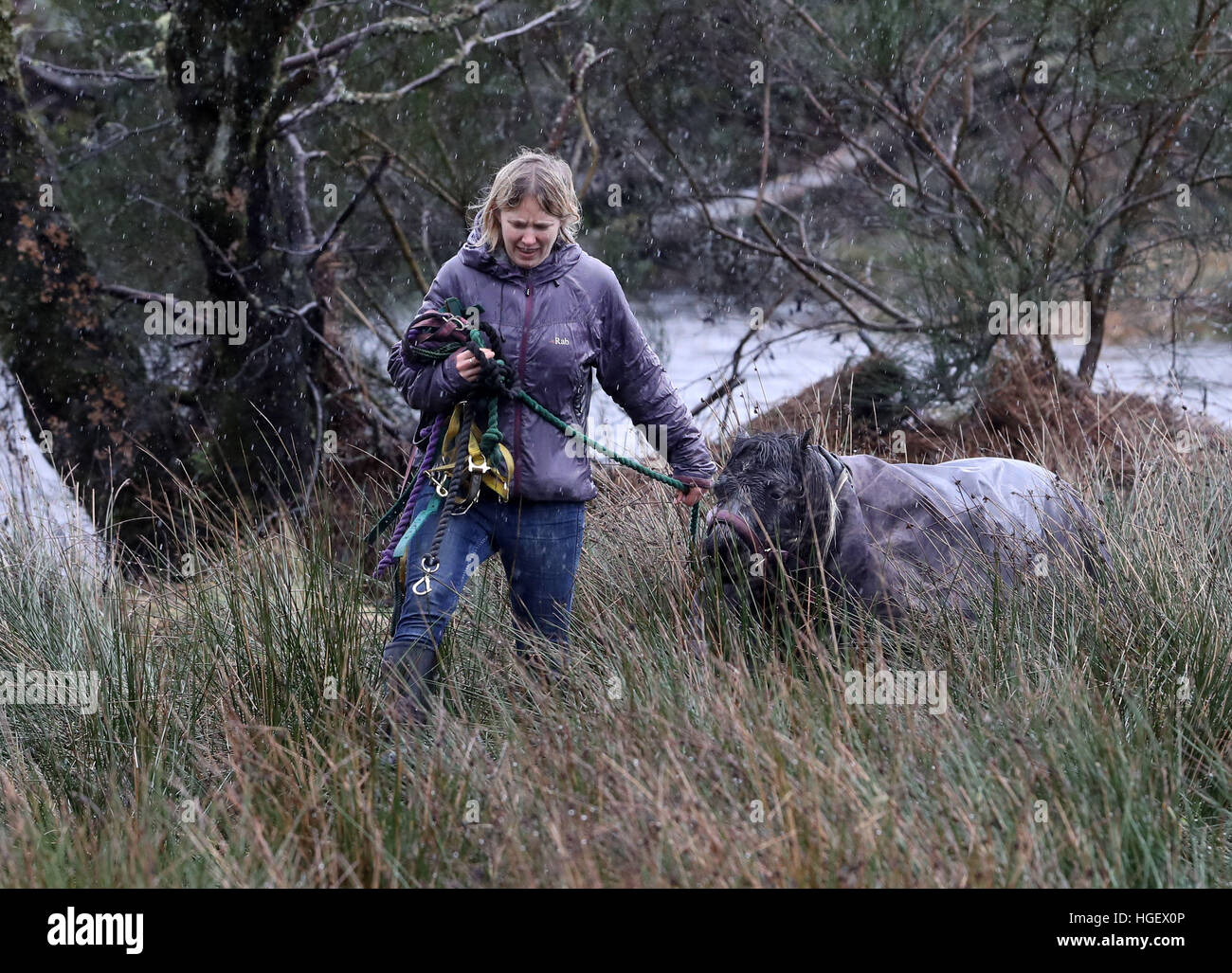 Nemo, a Shetland pony, is rescued by the Scottish Fire and Rescue ...