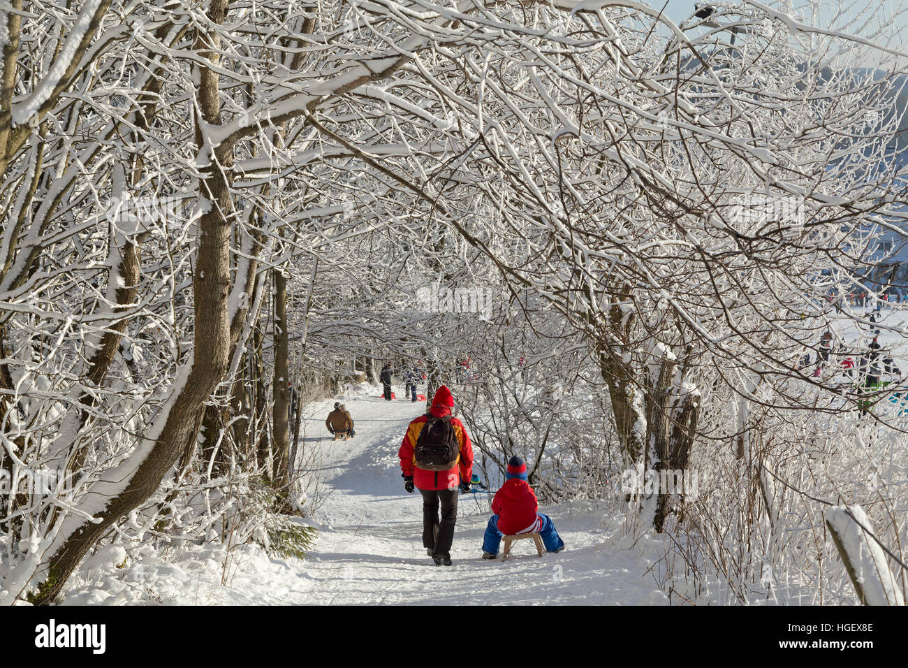 winter sport region Winterberg, Sauerland, Northrhine Westfalia ...