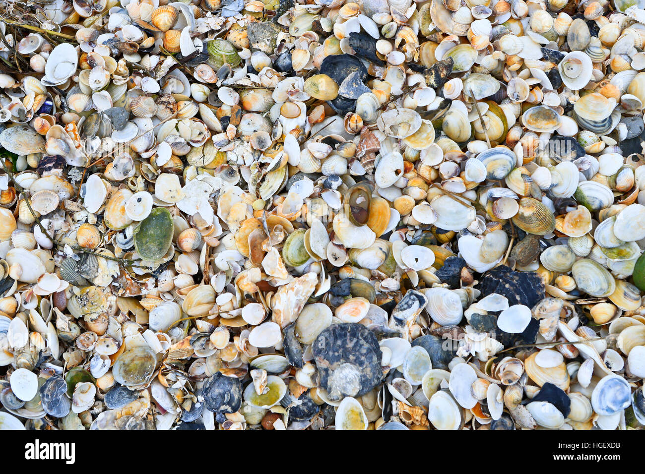 Playa Caracol High Resolution Stock Photography and Images - Alamy