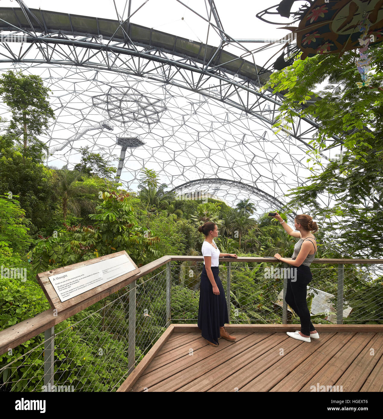 Tensile metal structure with viewing platform. Eden Project, Bodelva ...