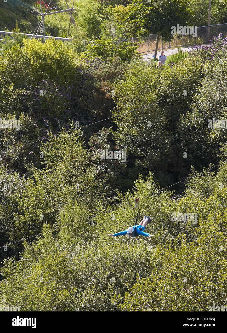 Elevated view with adventure zip slide and treetops. Eden Project ...