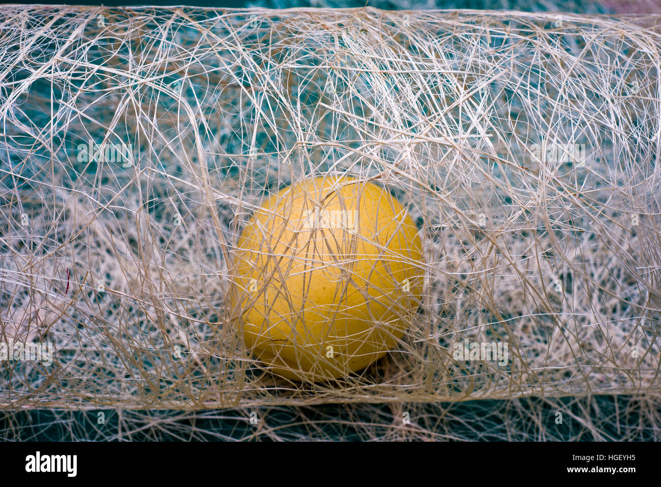 Apple with protective packaging isolated on white background apple in ...