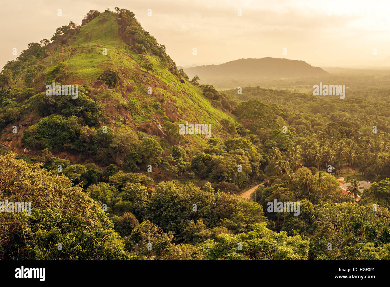 Sri Lanka: Dambulla National Park Stock Photo - Alamy