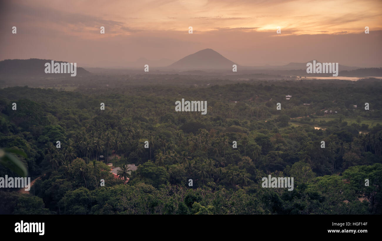 Sri Lanka: Dambulla National Park Stock Photo - Alamy