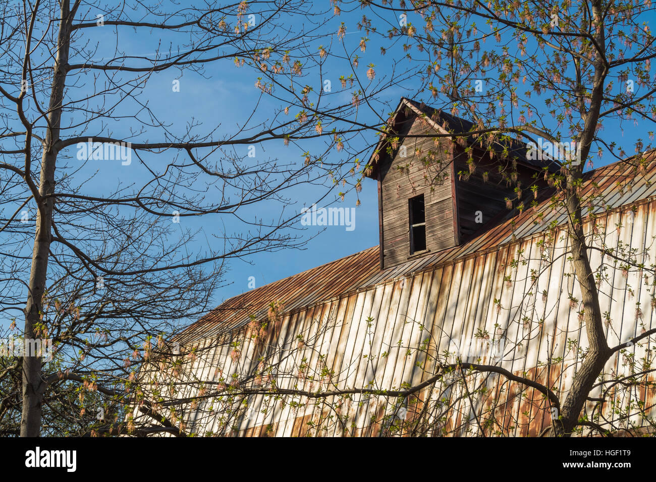 Lincoln farm illinois hi-res stock photography and images - Alamy