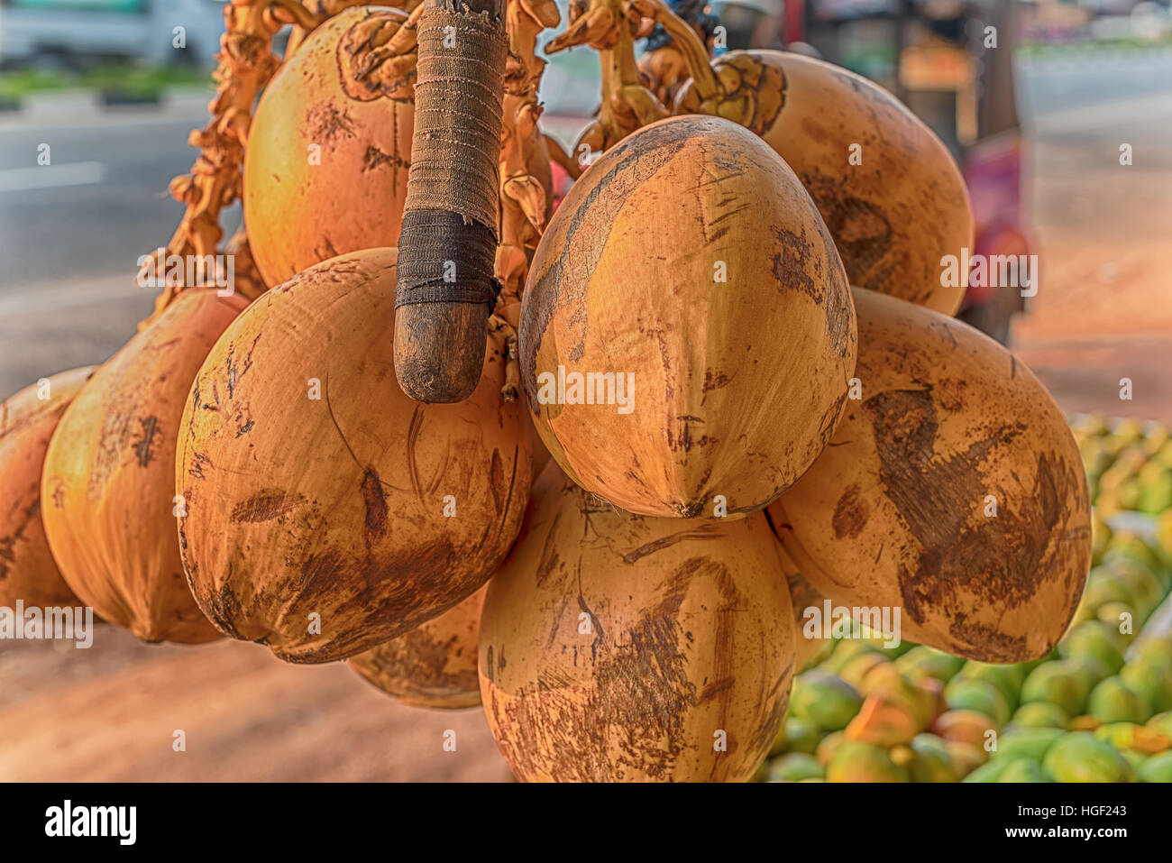 Cluster of coconuts Stock Photo - Alamy