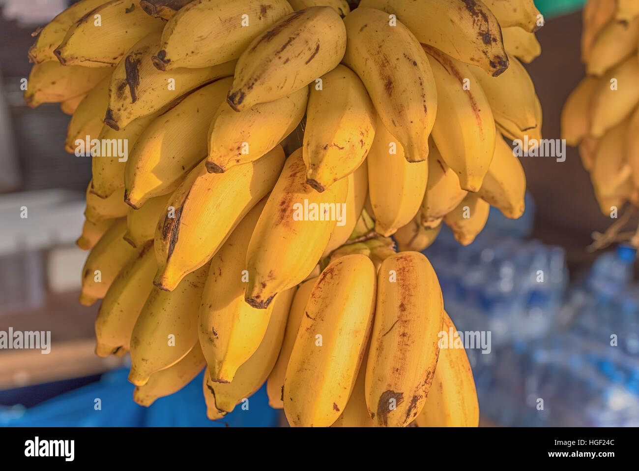Cluster of bananas Stock Photo - Alamy