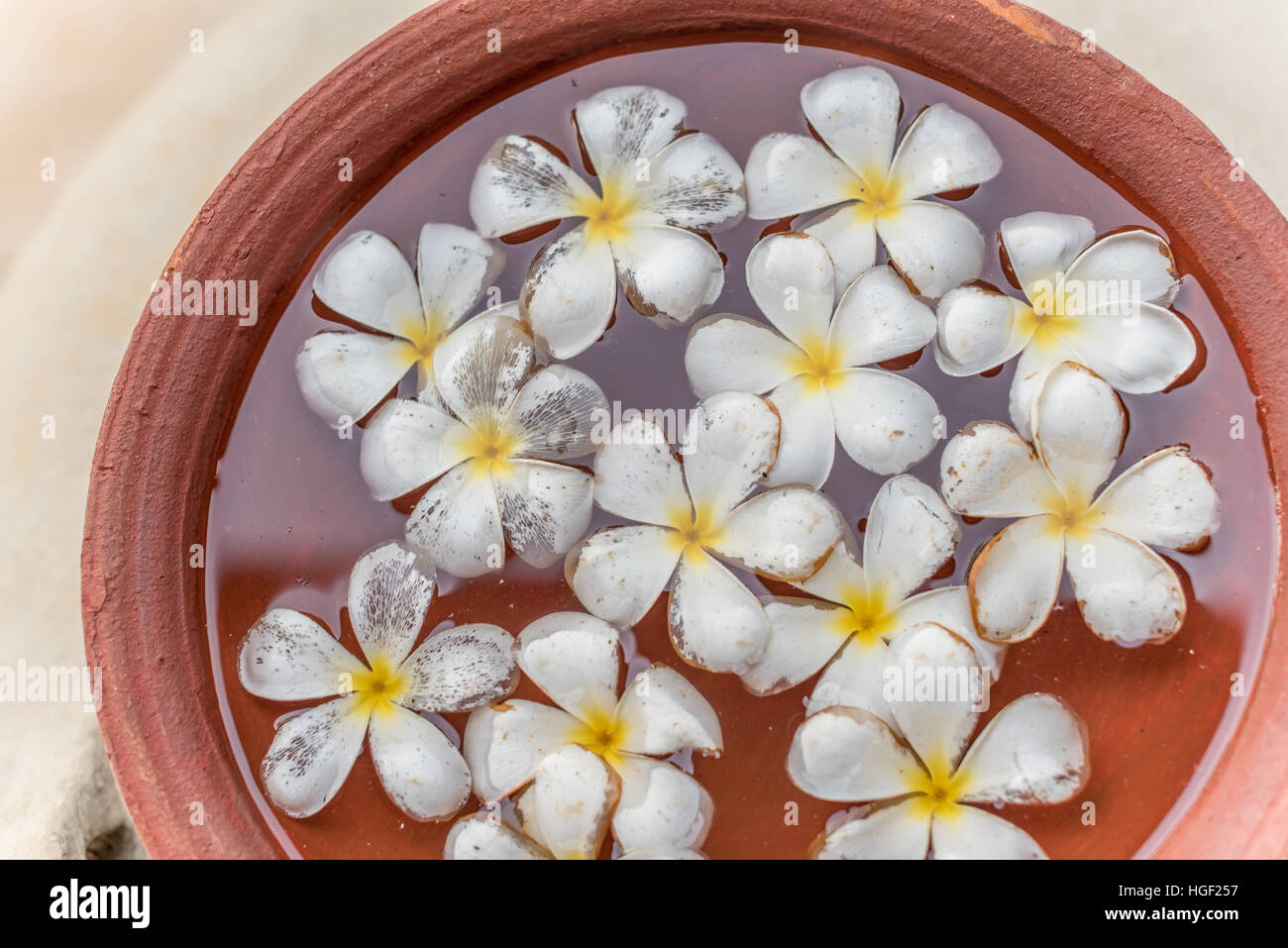 Sri Lanka: Araliya flower, temple tree in the water Stock Photo - Alamy
