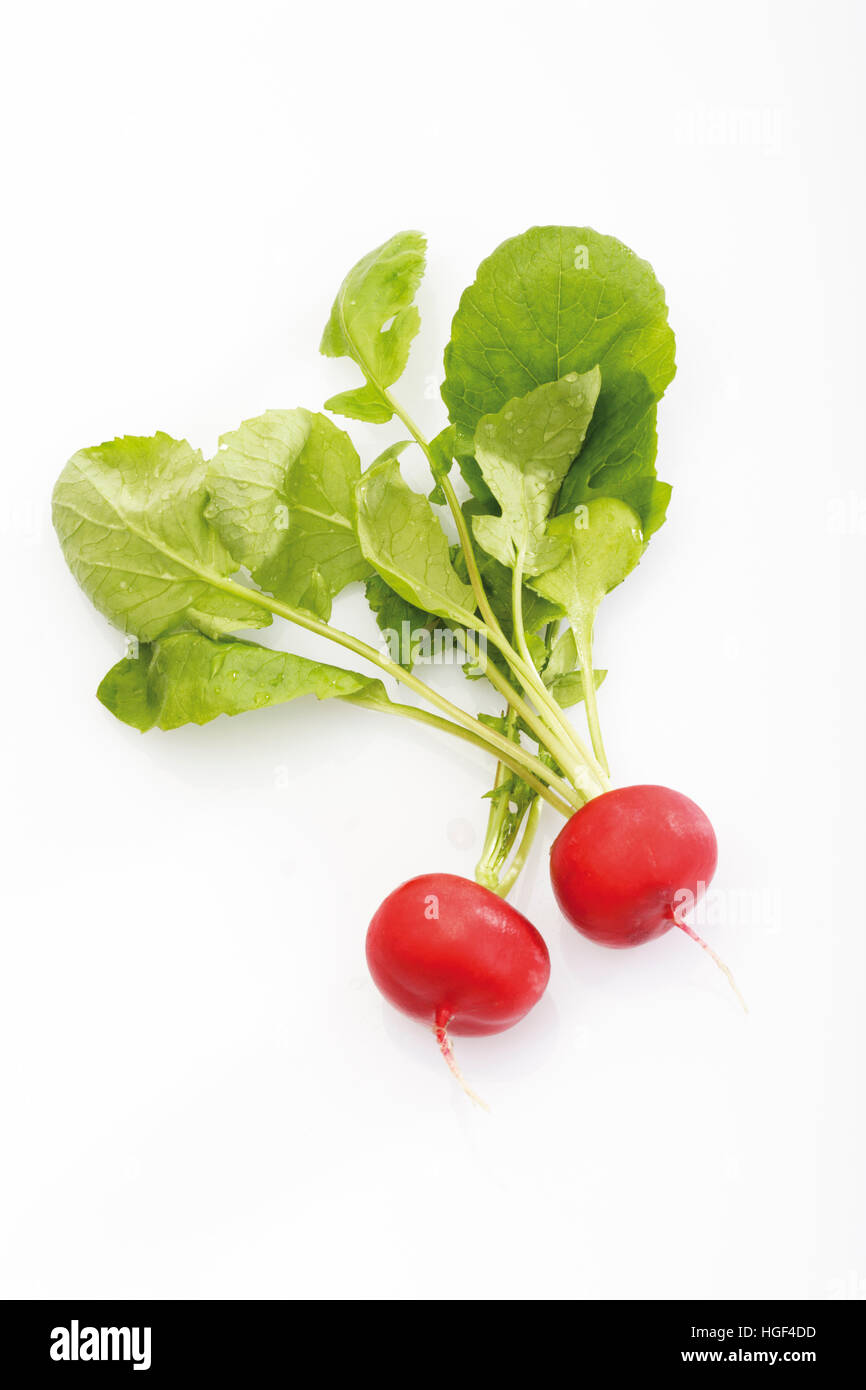 Radish with leaves Stock Photo - Alamy