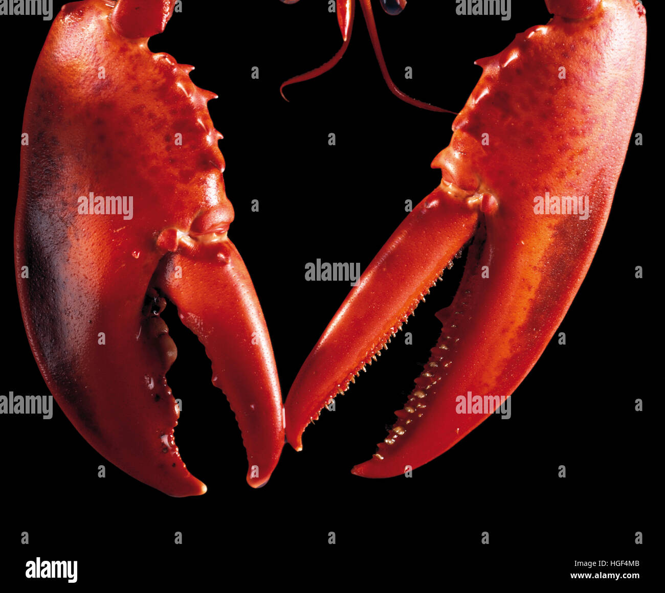 Overview picture from the studio hi-res stock photography and images ...