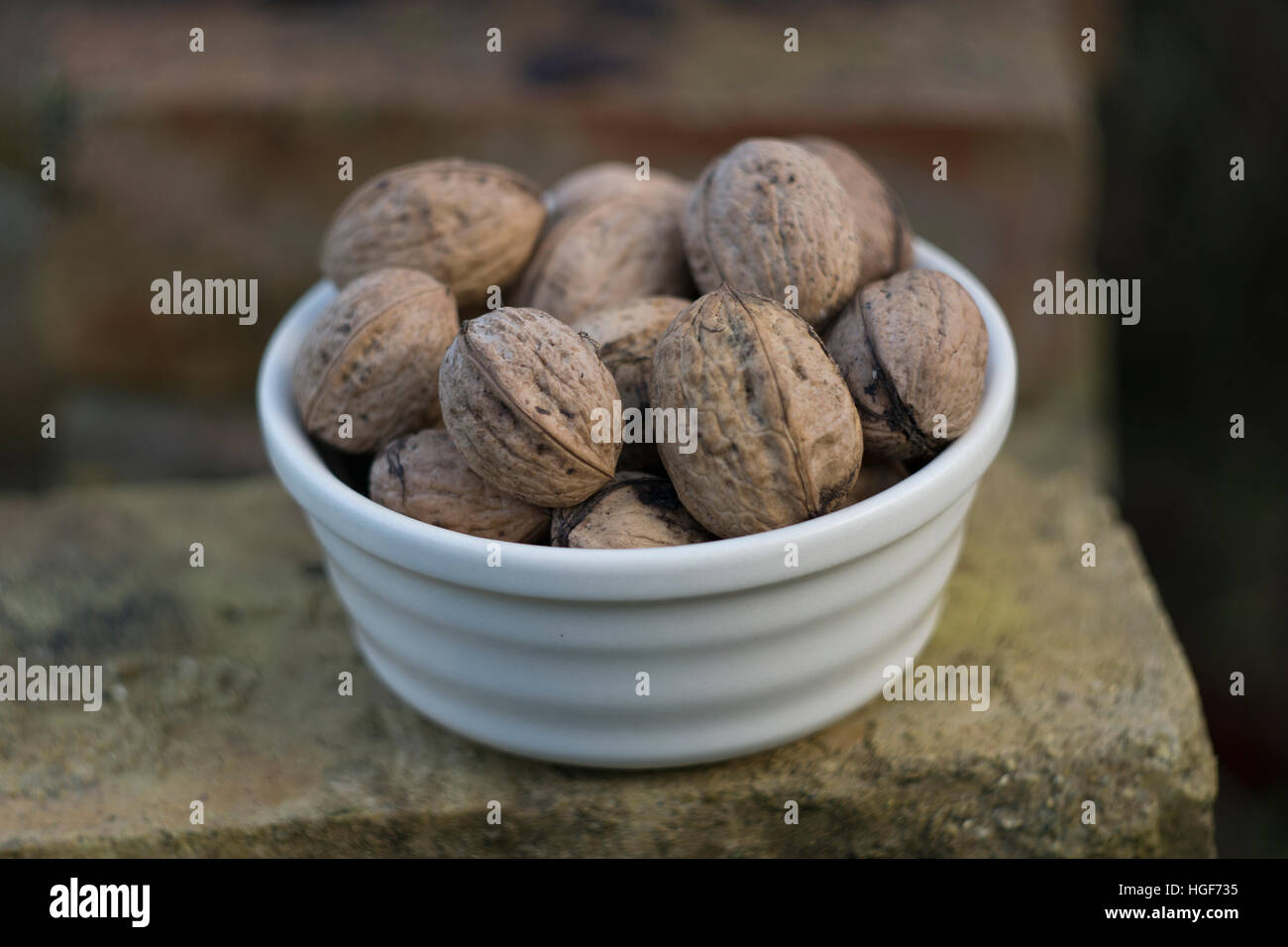 walnut in a small white bowl Stock Photo - Alamy
