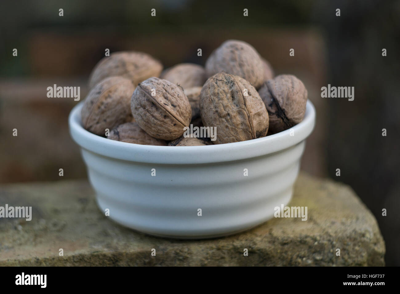 walnut in a small white bowl Stock Photo - Alamy