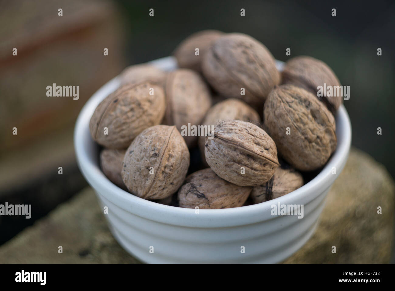 Walnut in shells hi-res stock photography and images - Alamy