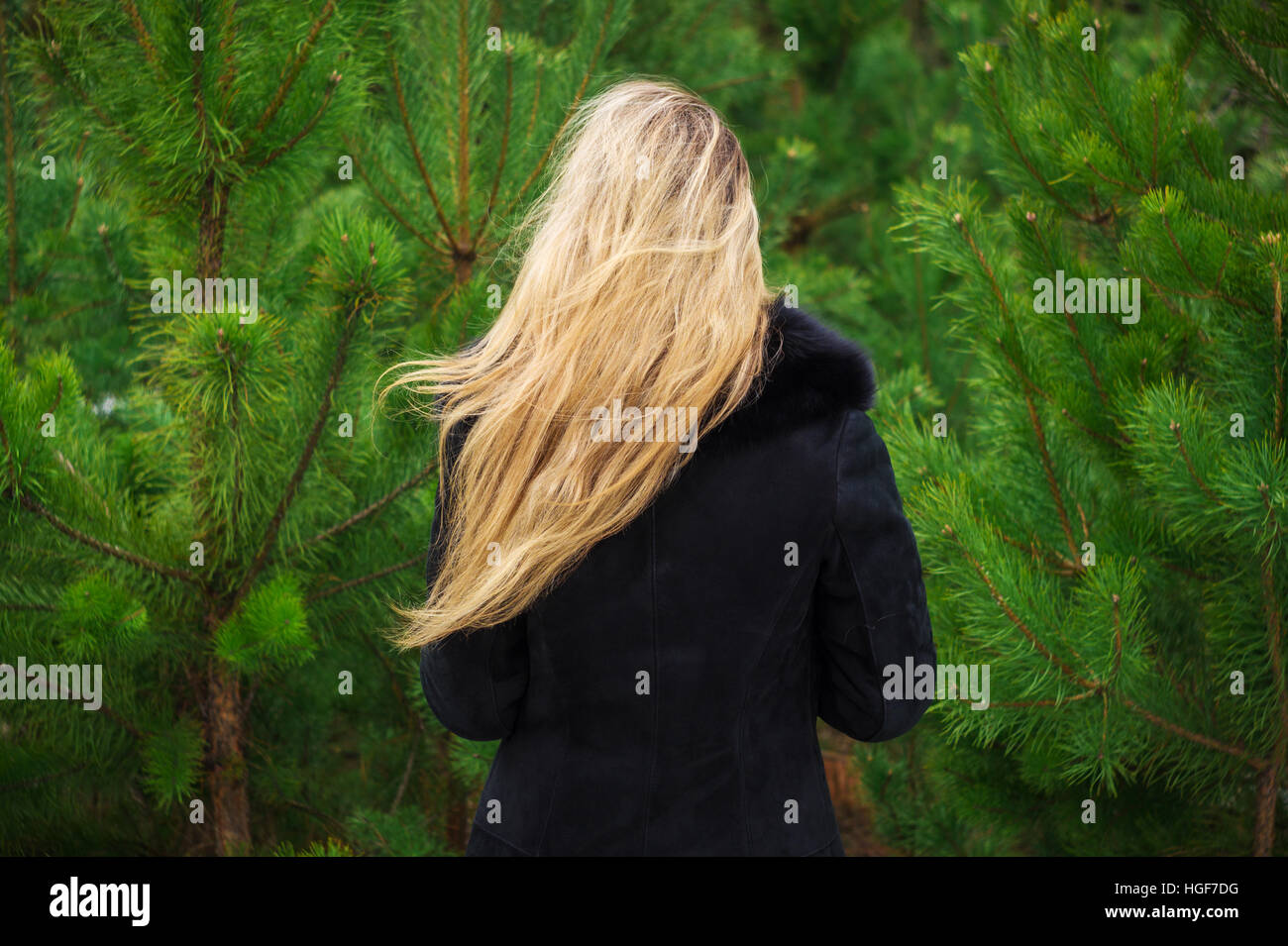 Woman posing in pines Stock Photo - Alamy