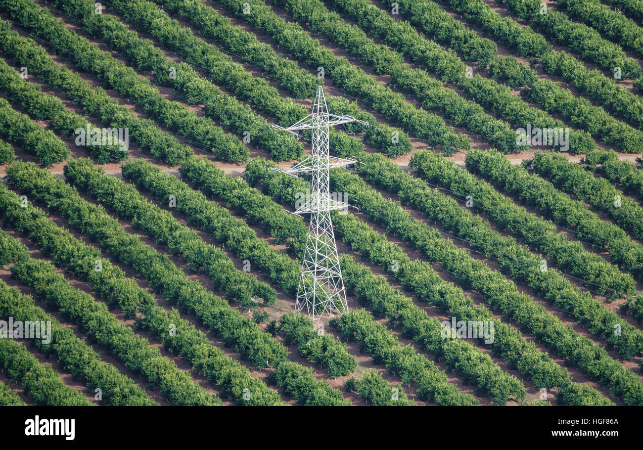 Electric tower and orange fields Stock Photo - Alamy