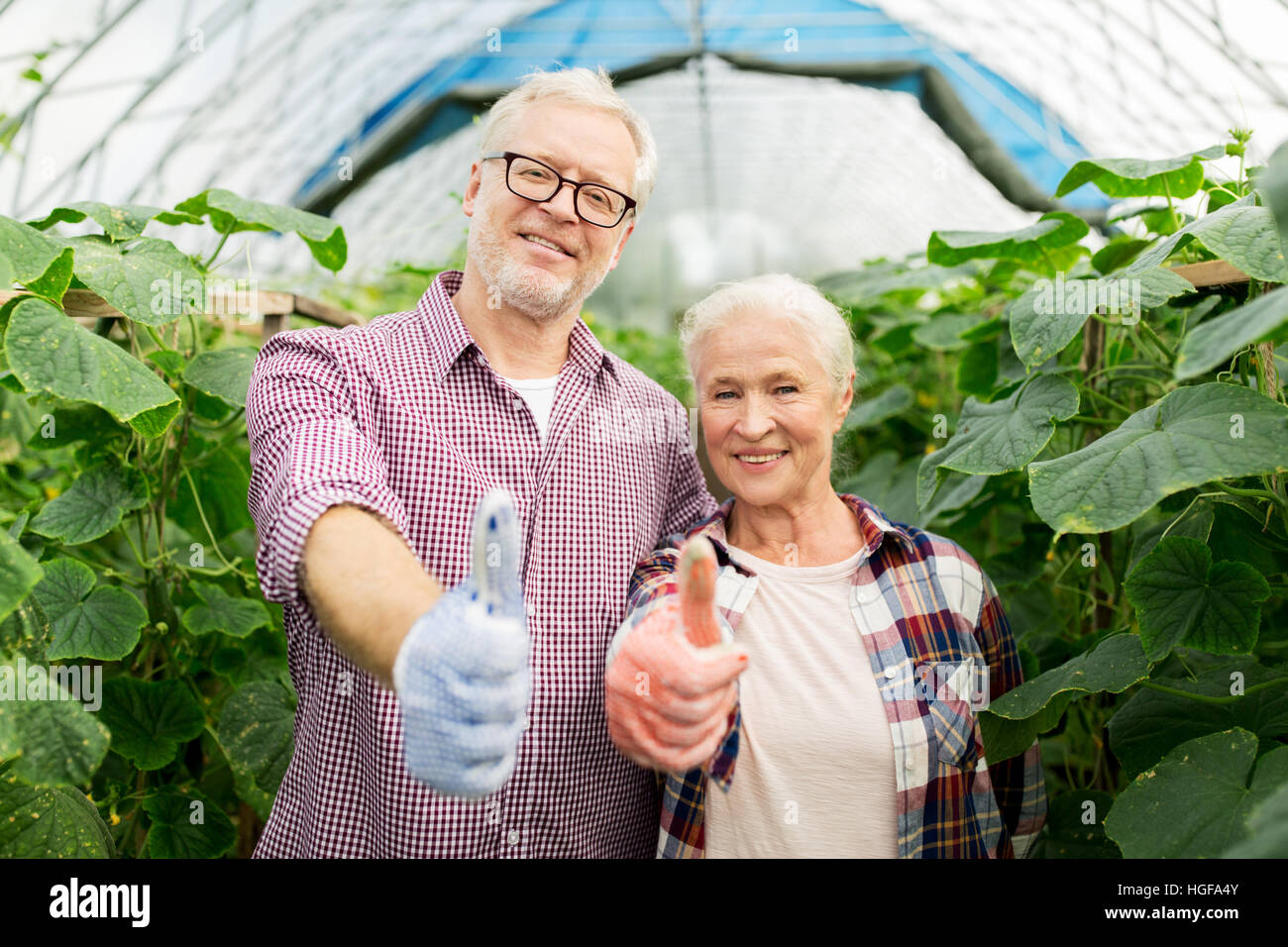 Happy farmer thumbs up hi-res stock photography and images - Alamy