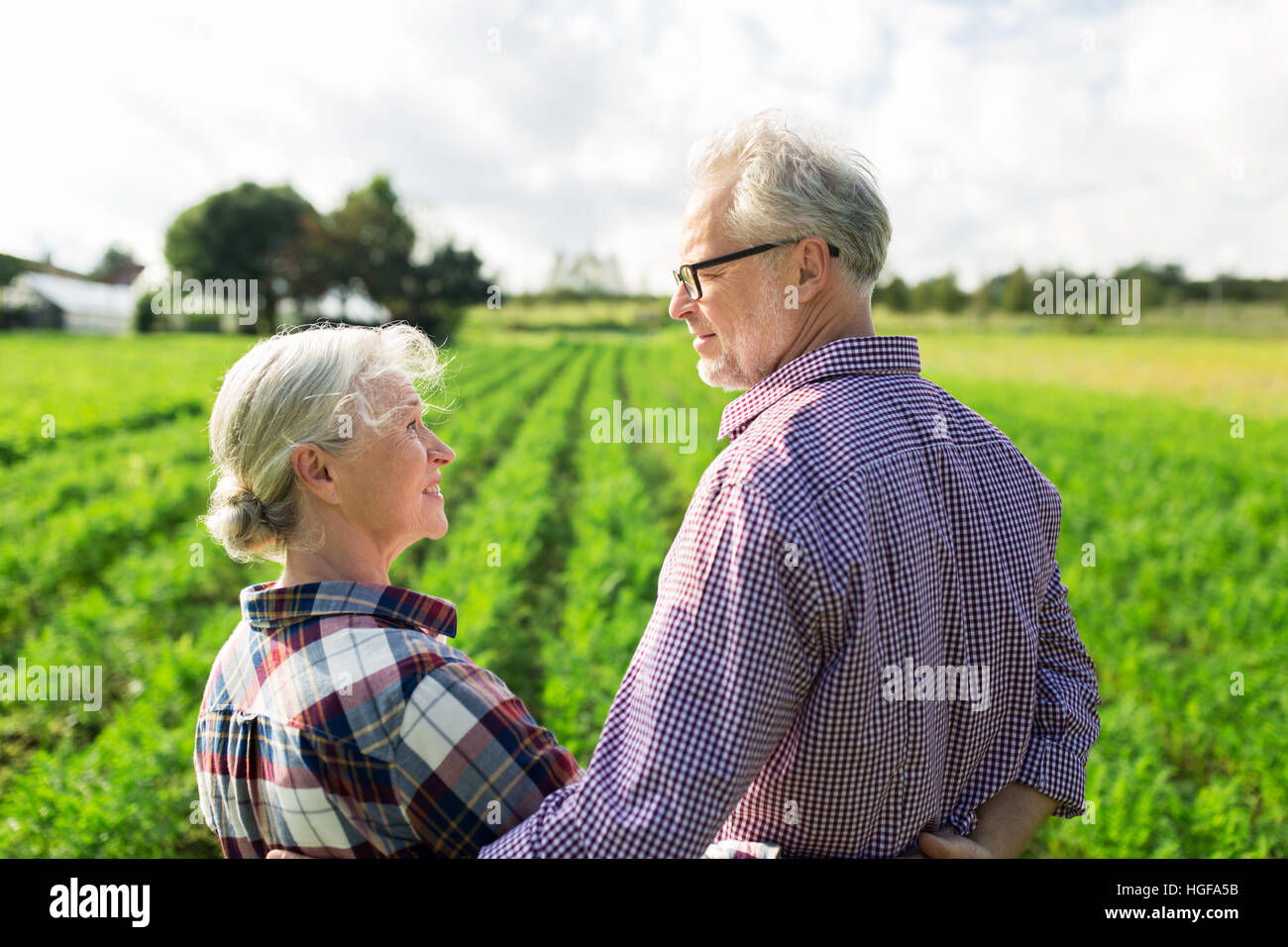 happy senior couple at summer farm Stock Photo - Alamy