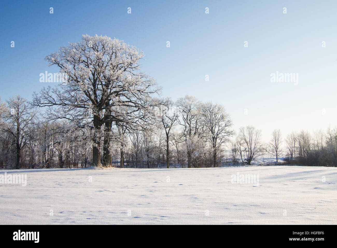 A beautiful winter landscape in nordic Europe Stock Photo - Alamy