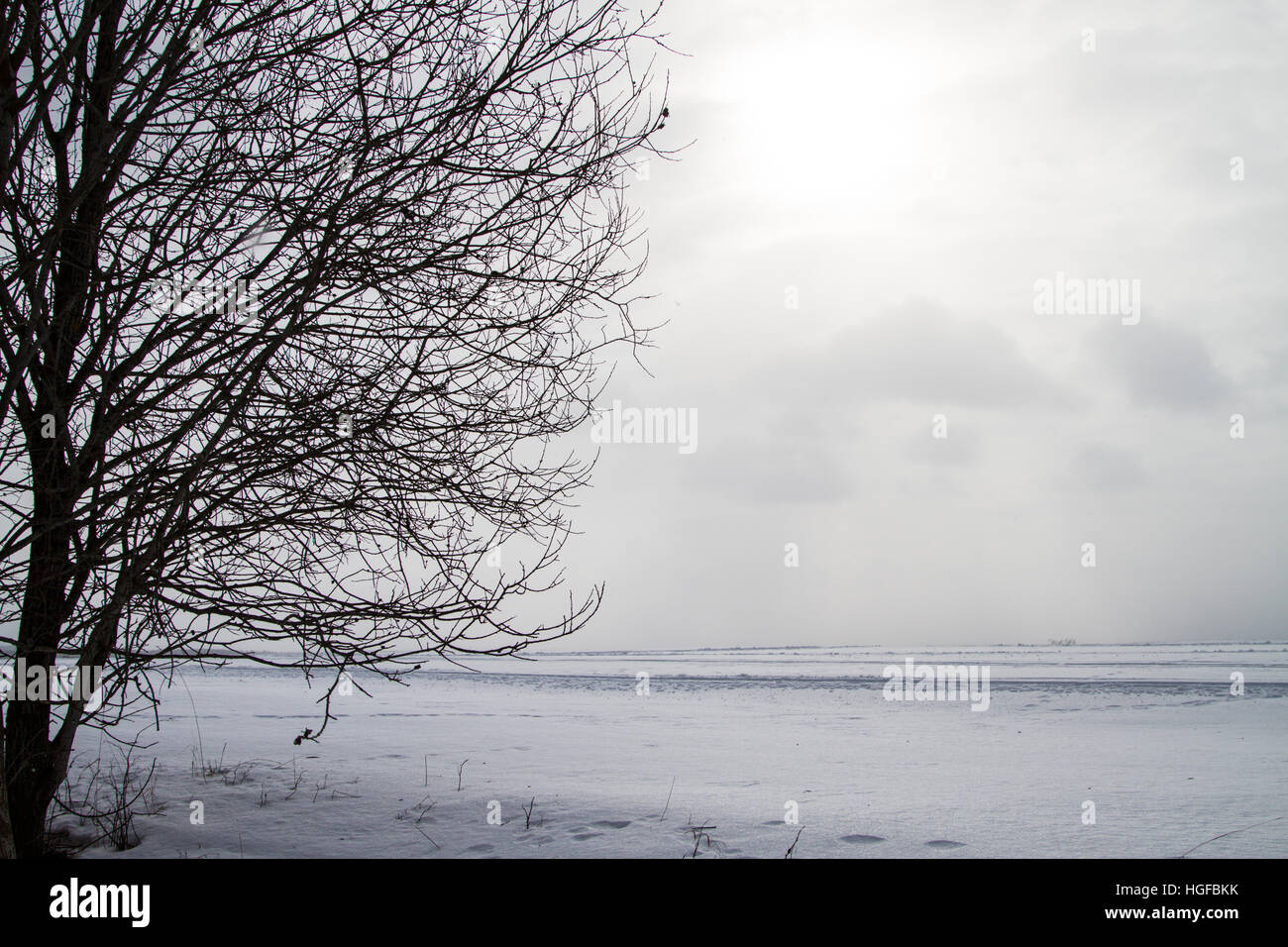 A beautiful winter landscape in nordic Europe Stock Photo - Alamy