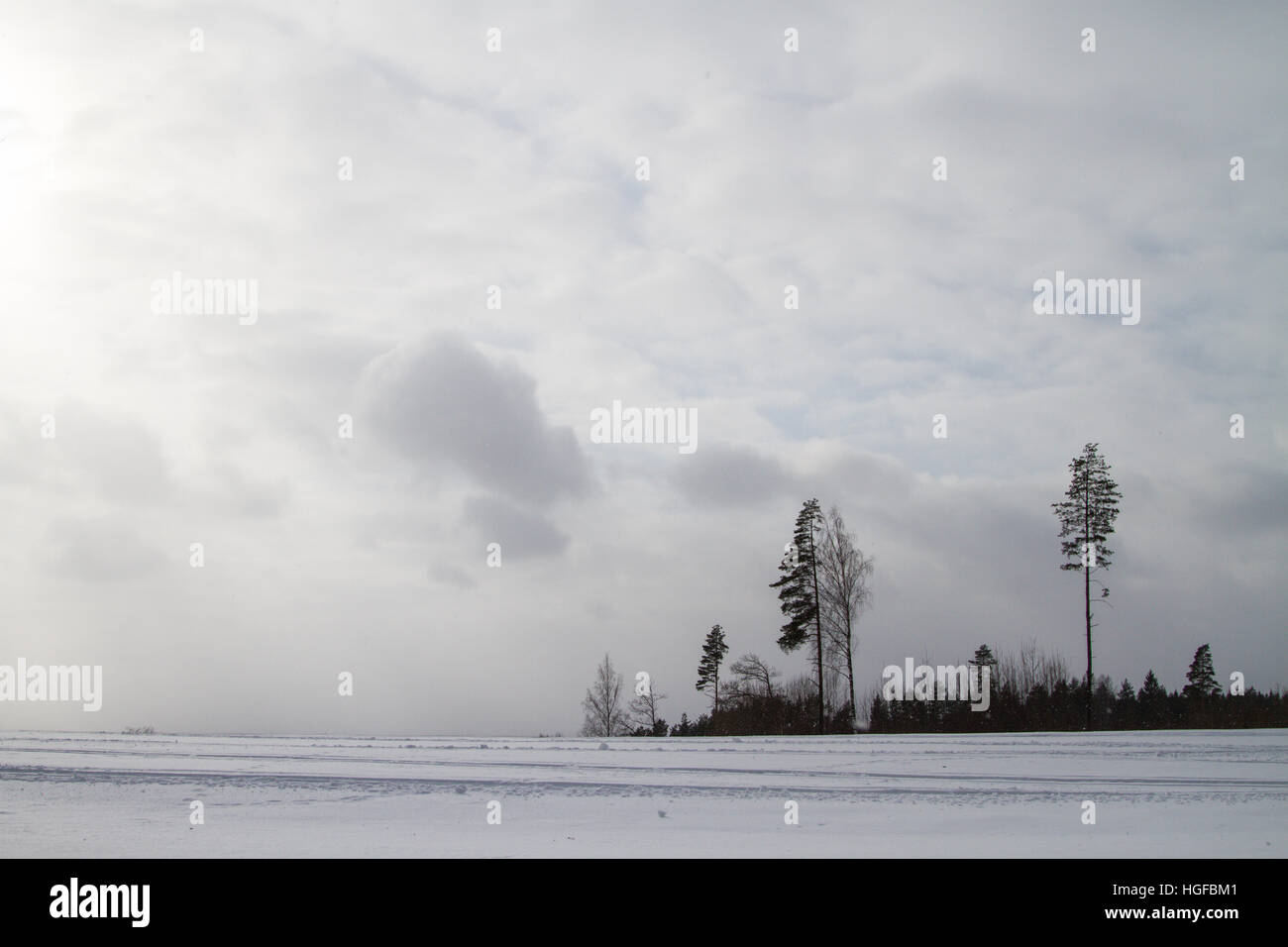 A beautiful winter landscape in nordic Europe Stock Photo - Alamy