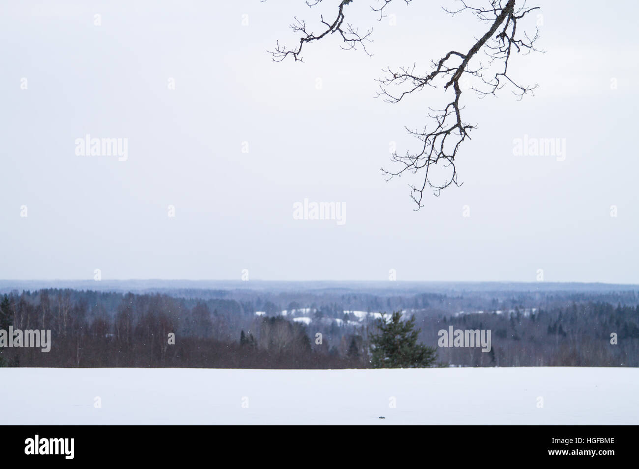 A beautiful winter landscape in nordic Europe Stock Photo - Alamy