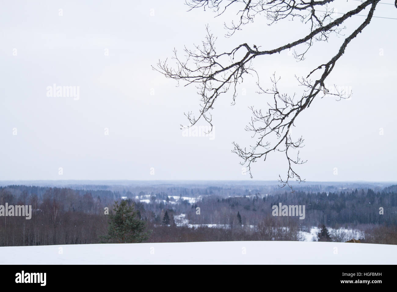 A beautiful winter landscape in nordic Europe Stock Photo - Alamy