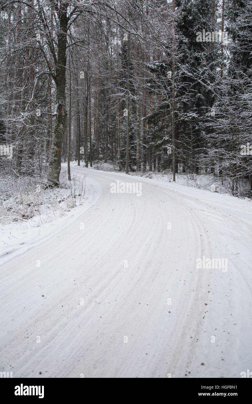 A beautiful winter landscape in nordic Europe Stock Photo - Alamy