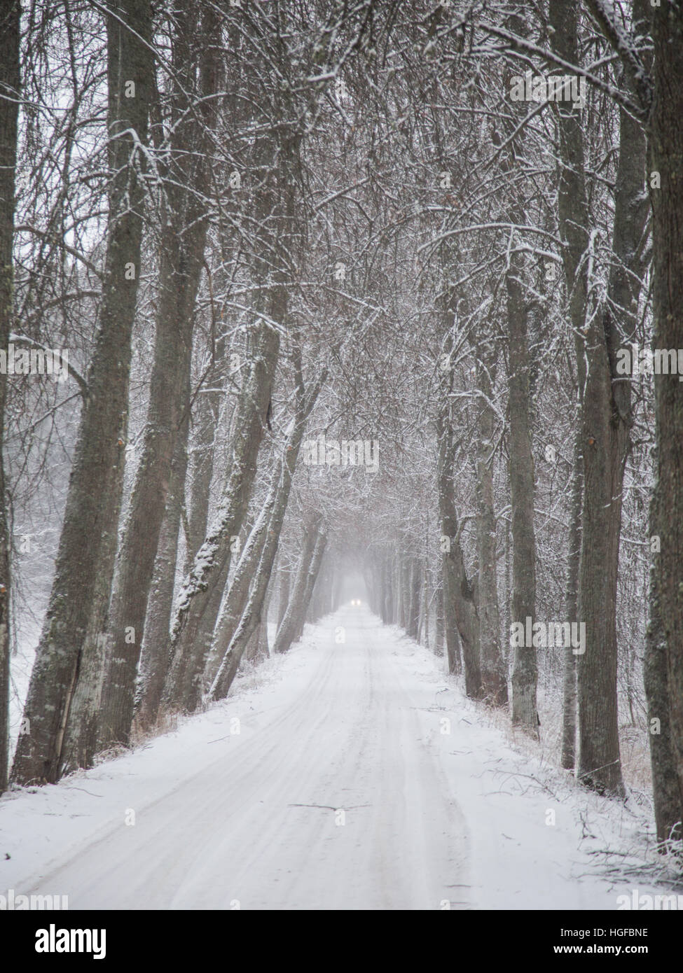 A beautiful winter landscape in nordic Europe Stock Photo - Alamy