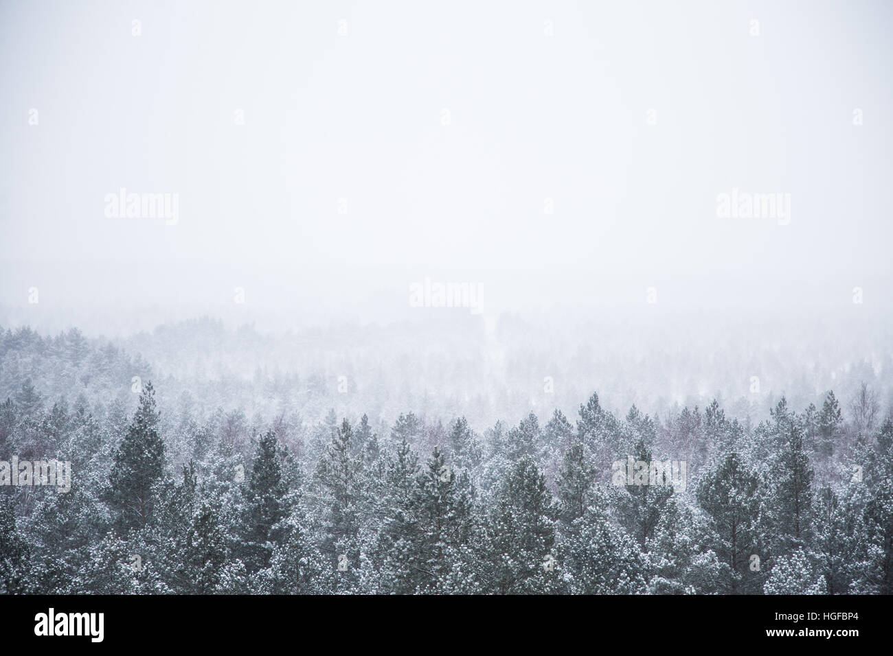 A beautiful winter landscape in nordic Europe Stock Photo - Alamy