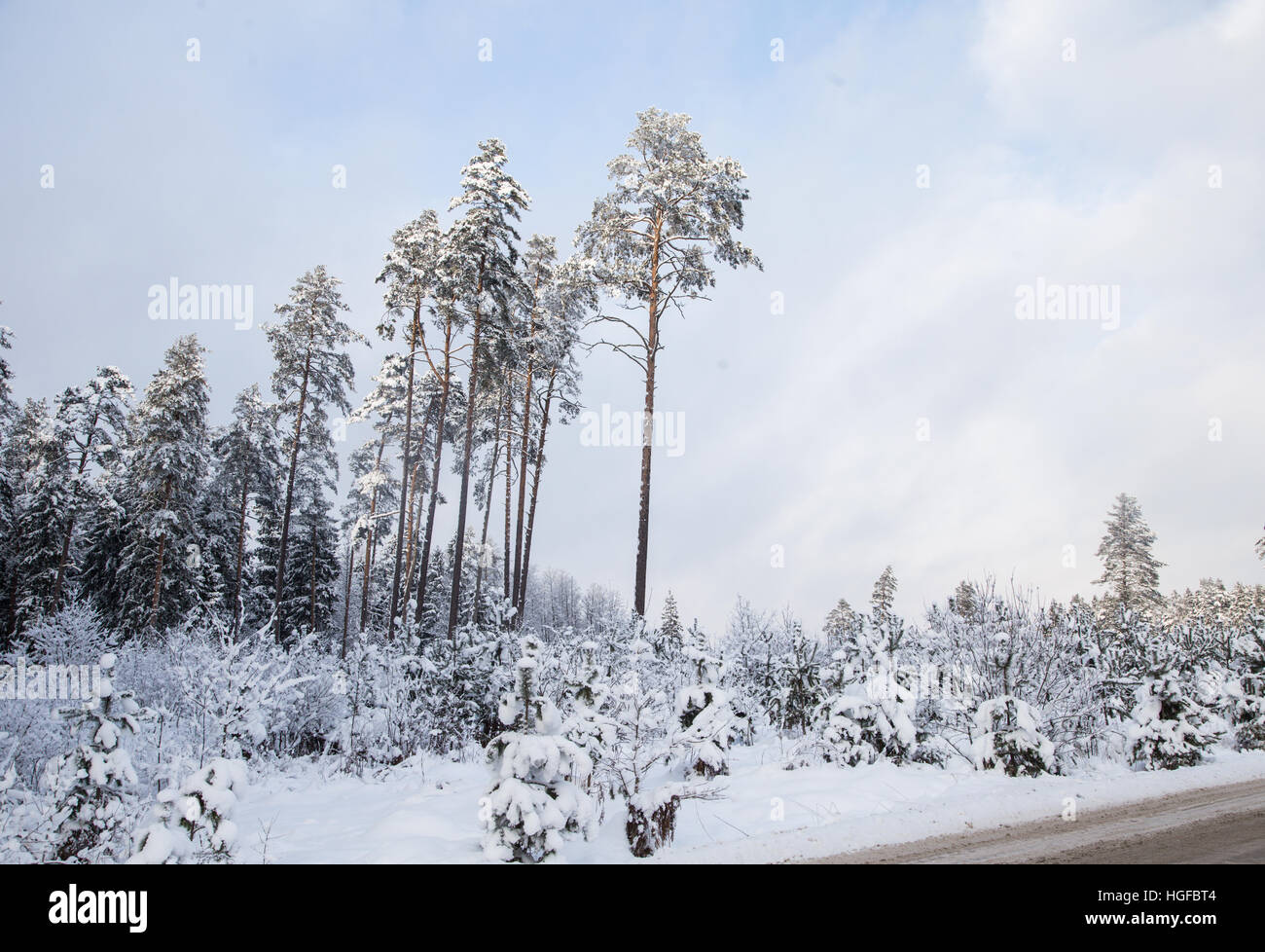 A beautiful winter landscape in nordic Europe Stock Photo - Alamy