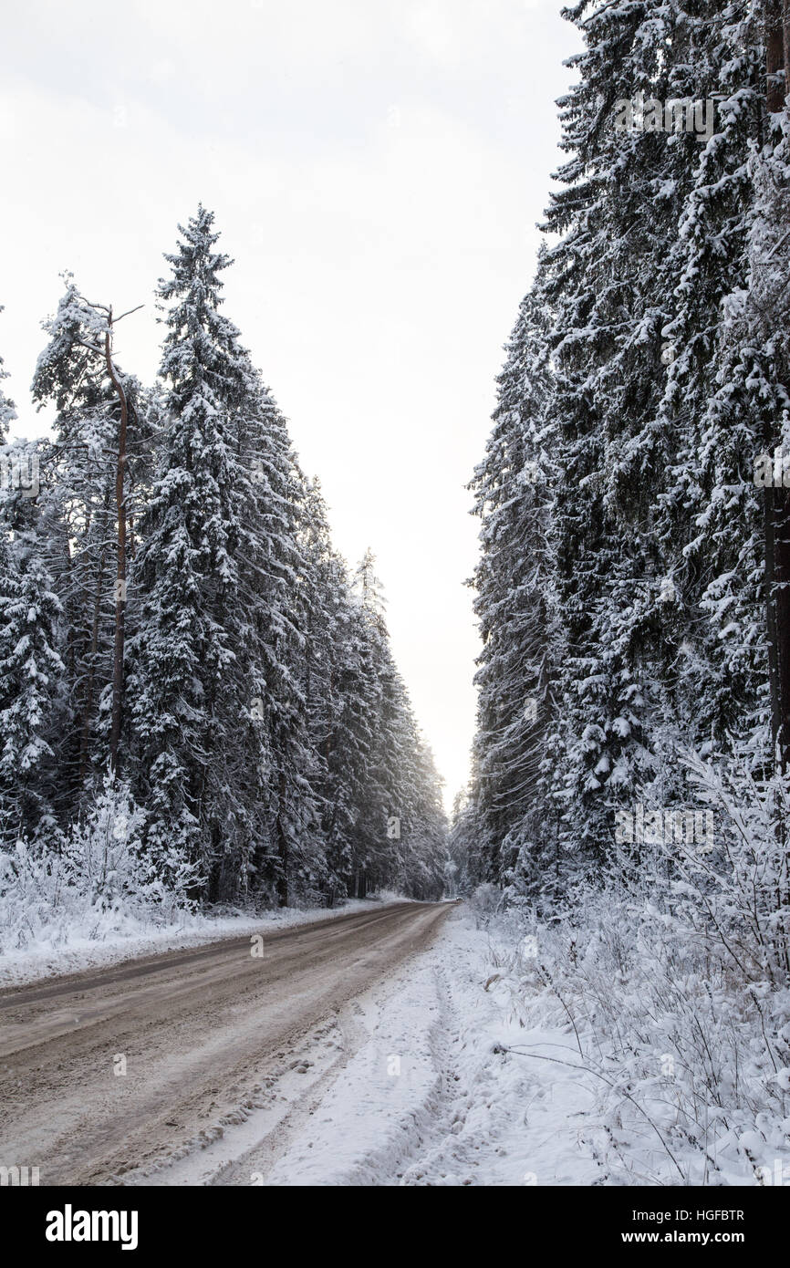 A beautiful winter landscape in nordic Europe Stock Photo - Alamy