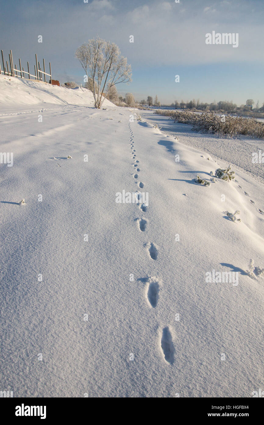 A beautiful winter landscape in nordic Europe Stock Photo - Alamy