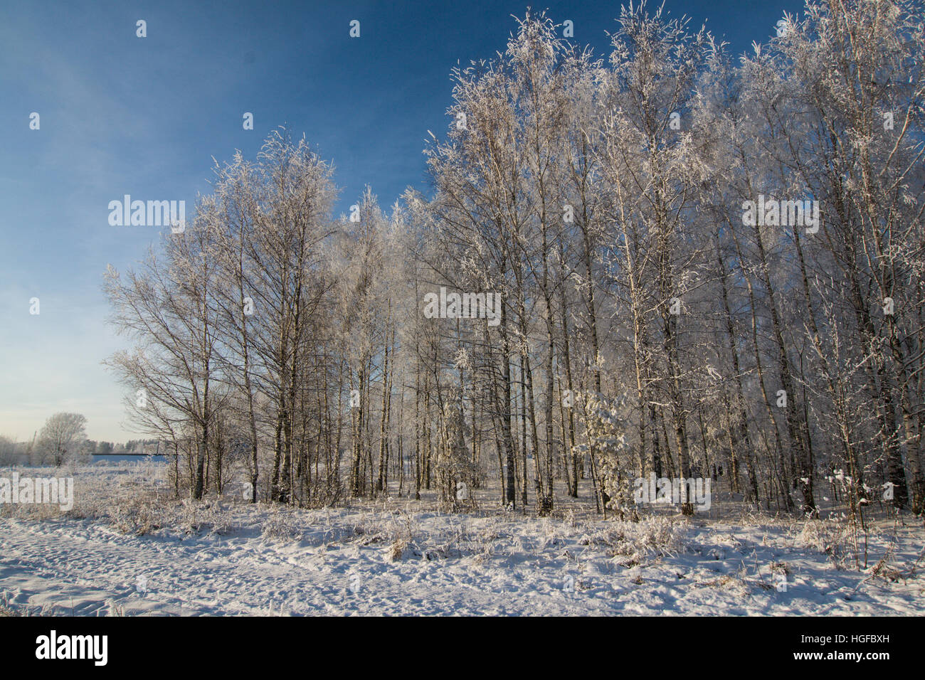 A beautiful winter landscape in nordic Europe Stock Photo - Alamy