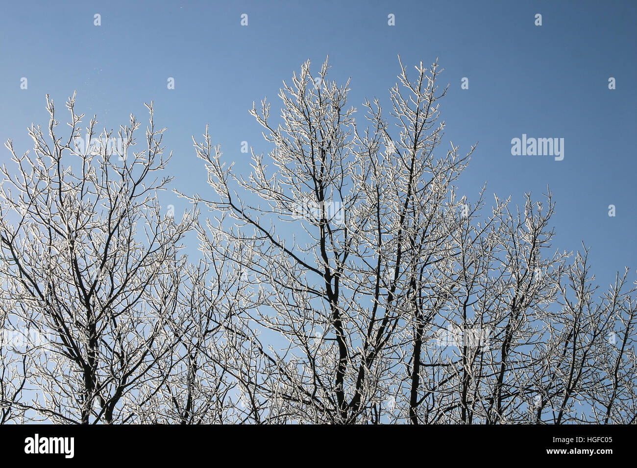 A beautiful winter landscape in nordic Europe Stock Photo - Alamy