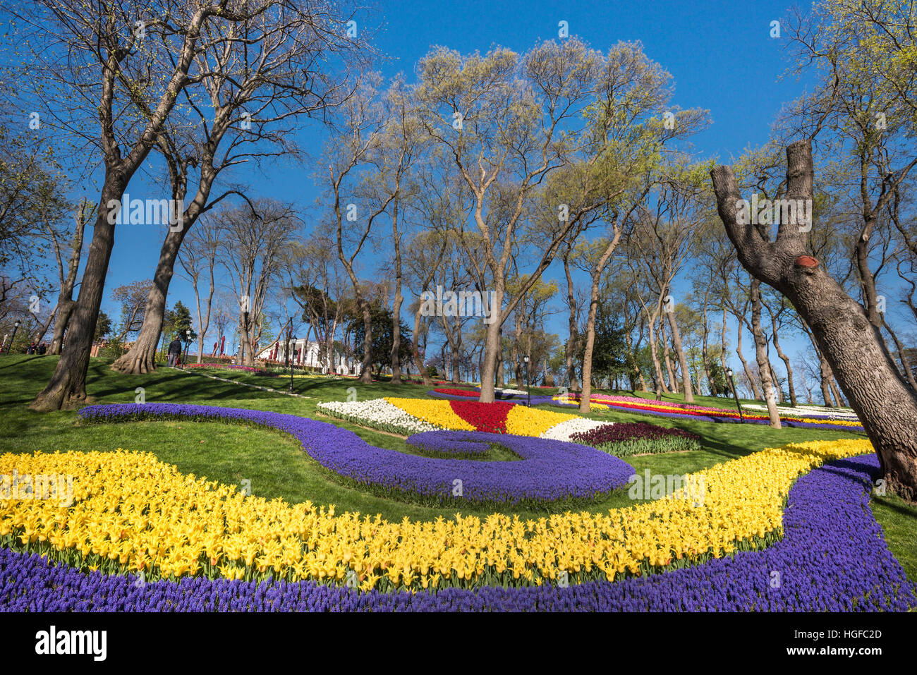 Tulips in Emirgan Park Istanbul Turkey Stock Photo - Alamy
