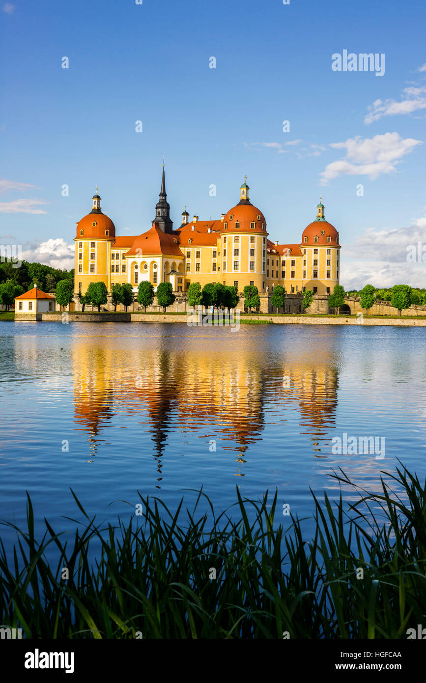 Moritzburg castle in Saxony Stock Photo - Alamy