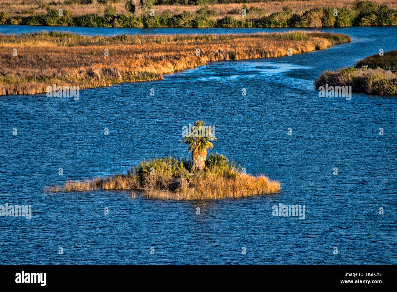 palm tree island, squaw lake recreation area, Arizona Stock Photo - Alamy
