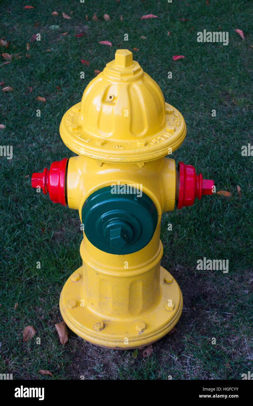 colorful fire hydrant Stock Photo - Alamy