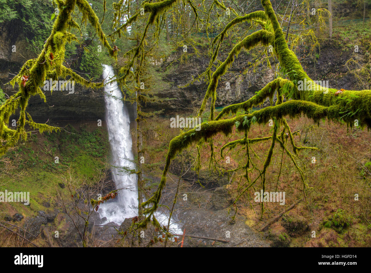 silver falls state park, Oregon Stock Photo - Alamy