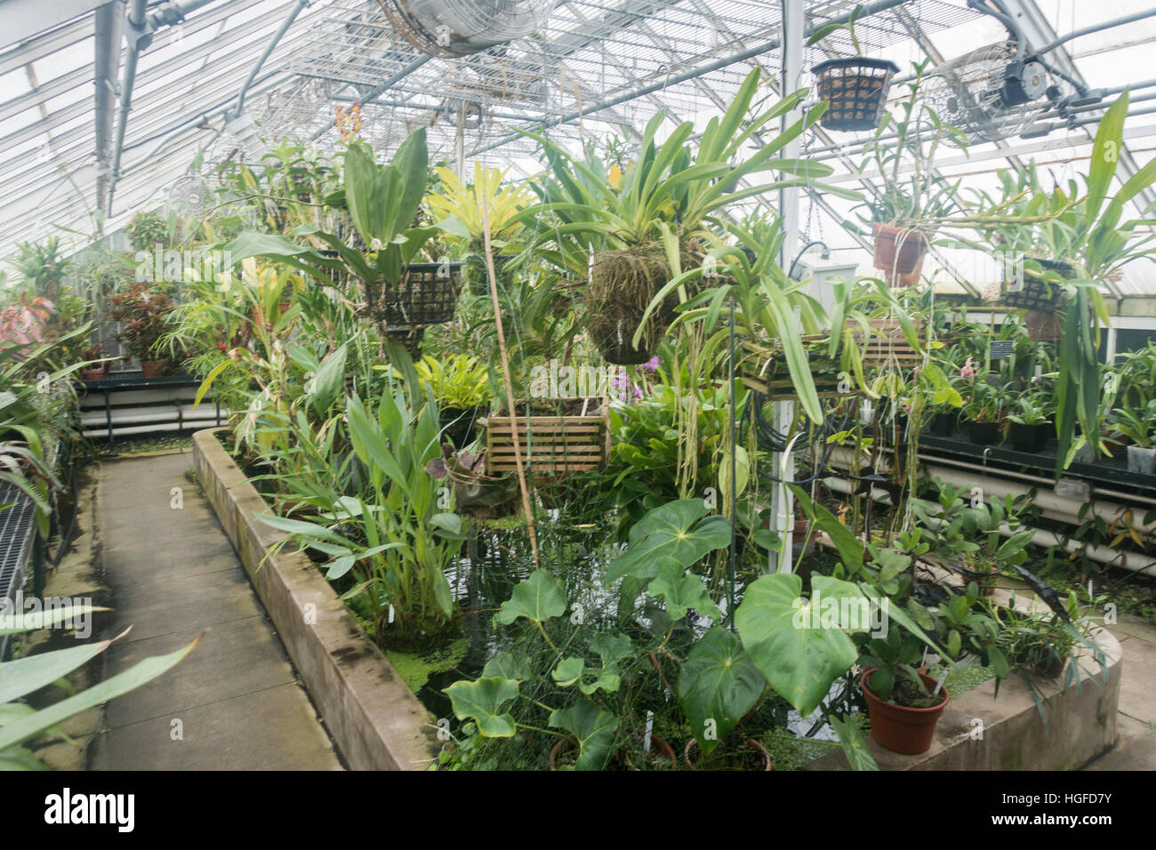 Smith college gate Northampton MA Stock Photo - Alamy