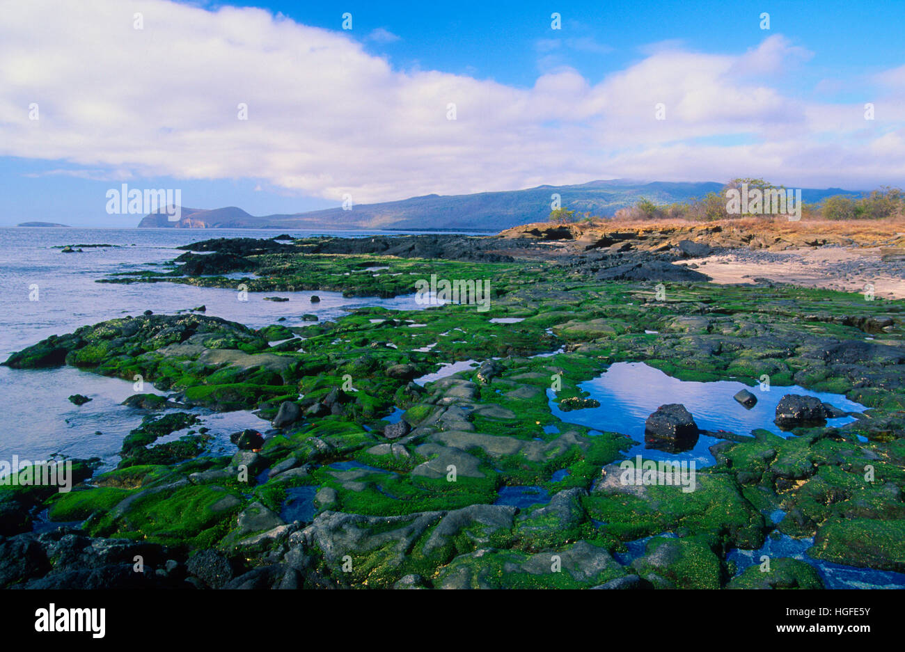 Tide pools hi-res stock photography and images - Alamy