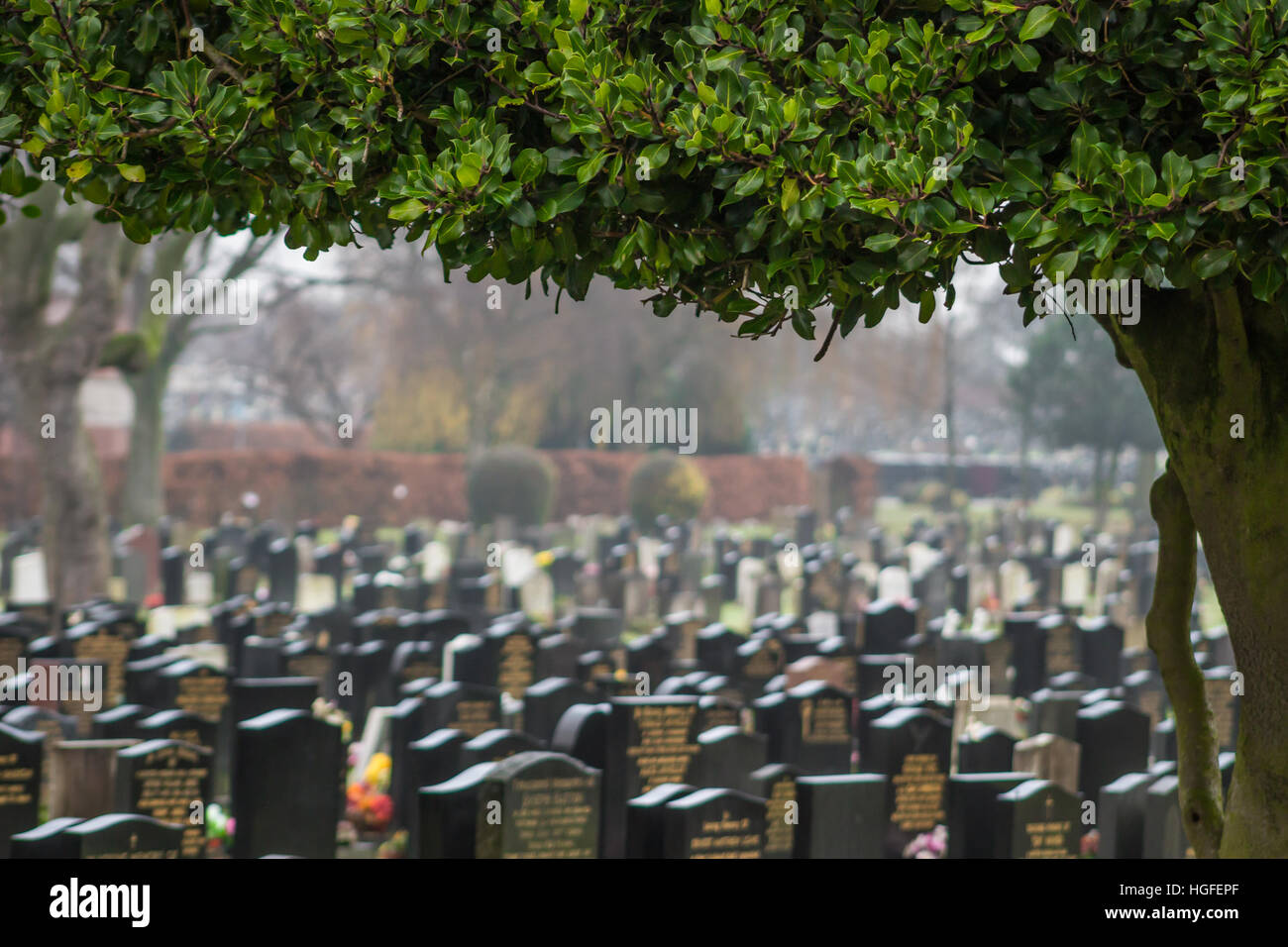 Cremation cemetery hi-res stock photography and images - Alamy