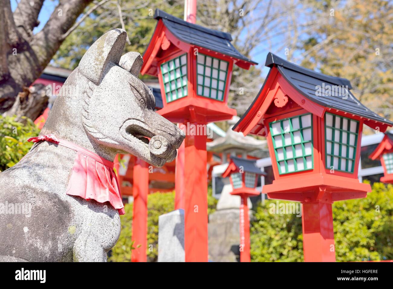 Stone statue divine messenger fox and red lanterns in Inuyama, Japan ...