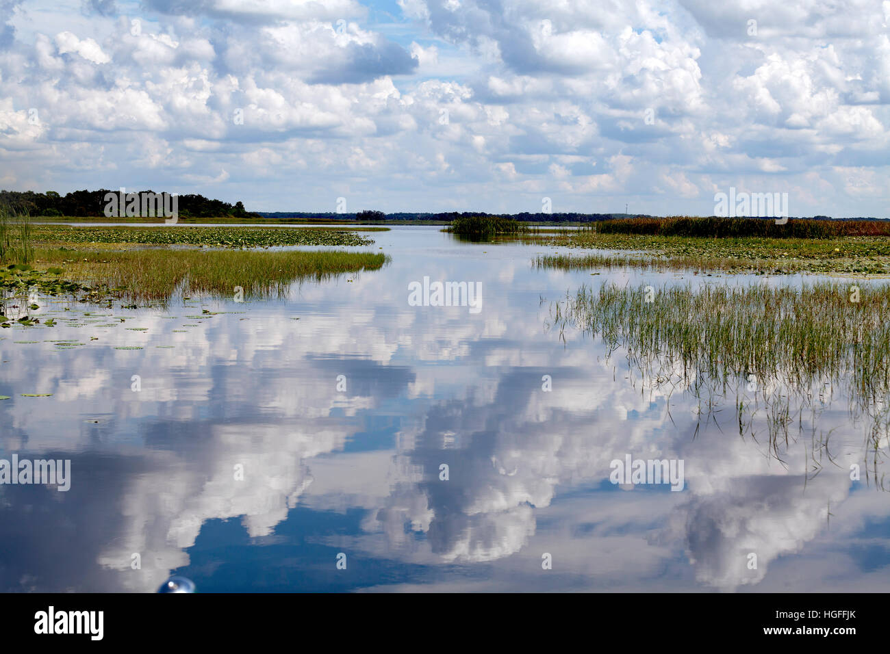 Florida everglades hi-res stock photography and images - Alamy