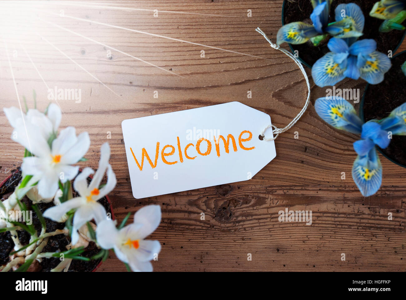 Sunny Flowers, Label, Text Welcome Stock Photo - Alamy