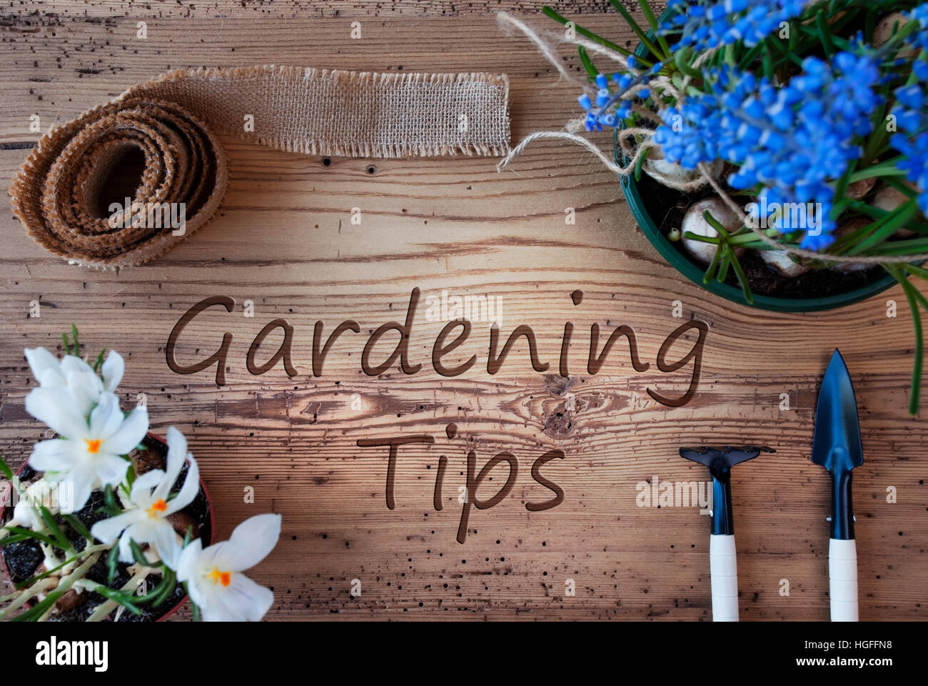 Spring Flowers, Text Gardening Tips Stock Photo - Alamy