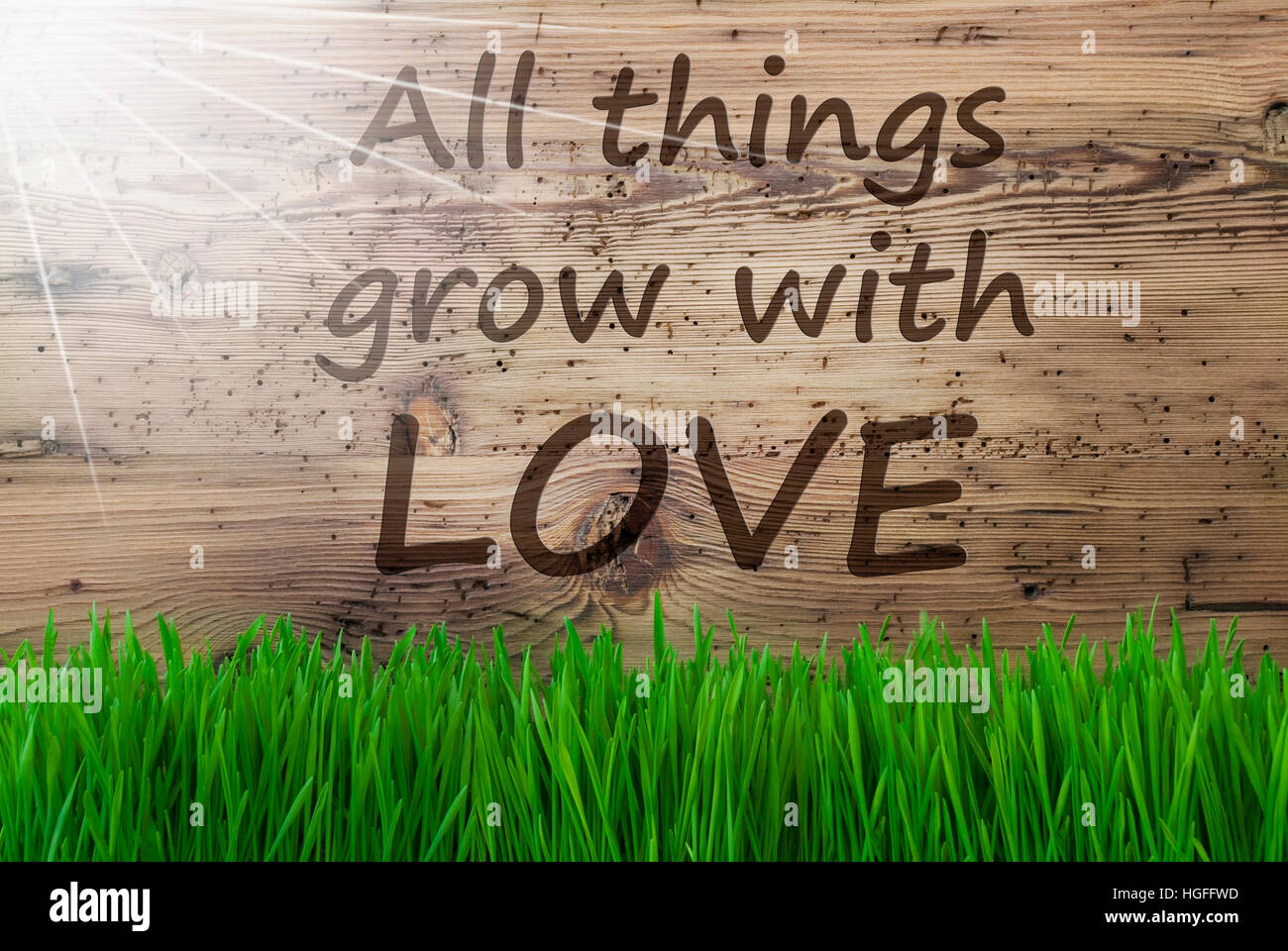 Love grow hi-res stock photography and images - Alamy