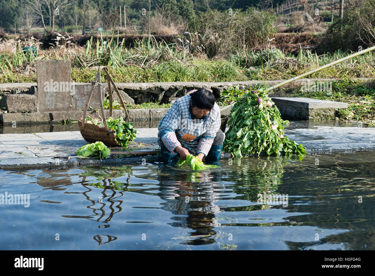 Vegetables wash hi-res stock photography and images - Alamy