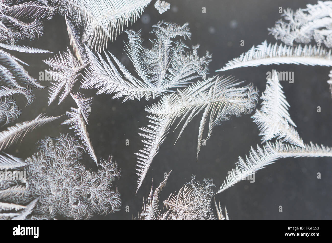 Close up of white ice crystals forming leaf/fern like pattern on window ...